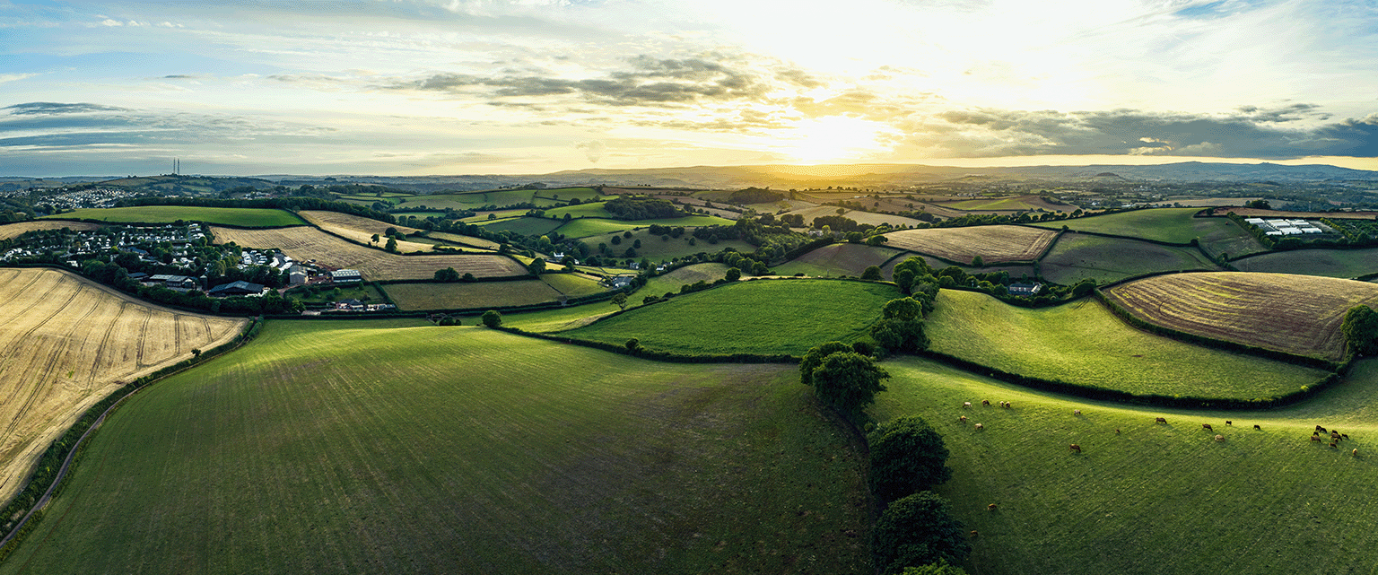 What Are Rural Broadband UK Options for Faster Internet? - Jurassic Fibre