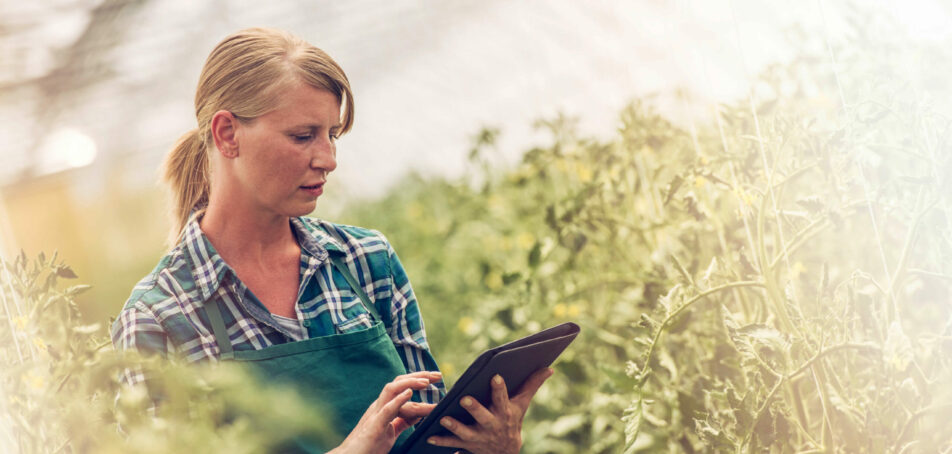 News about our Ultrafast Broadband roll out | Jurassic Fibre